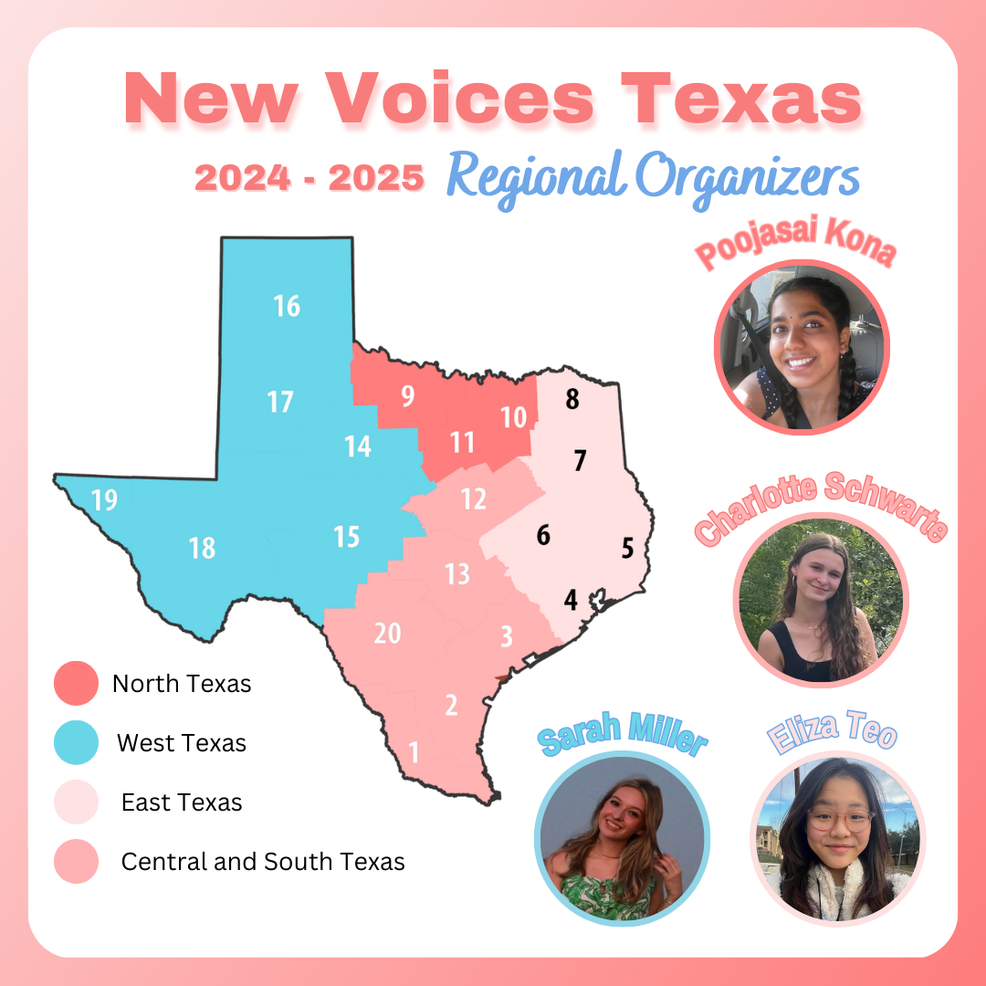 Regional Organizing Team – New Voices of Texas